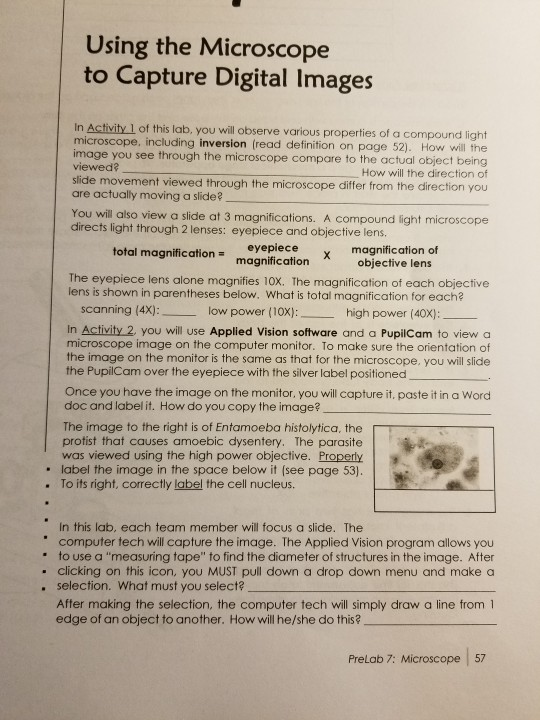 Solved Using the Microscope to Capture Digital Images In | Chegg.com