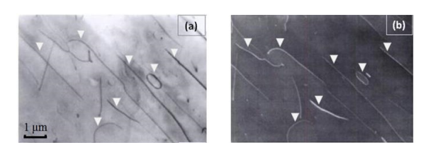 Diffraction contrast in TEM images can be used to | Chegg.com