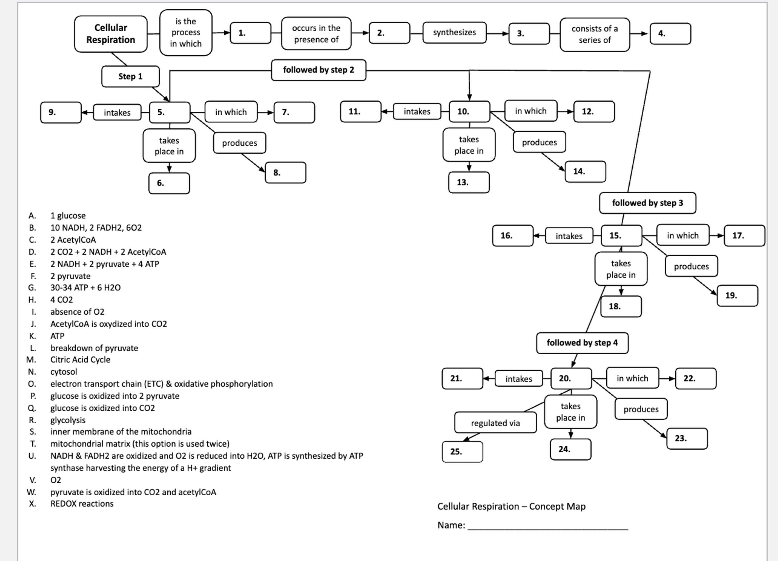 Solved Cellular respiration chart | Chegg.com