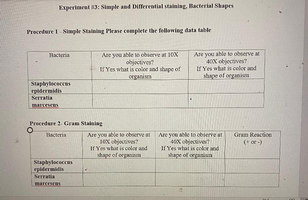 Solved Experiment #3: Simple and Differential staining, | Chegg.com