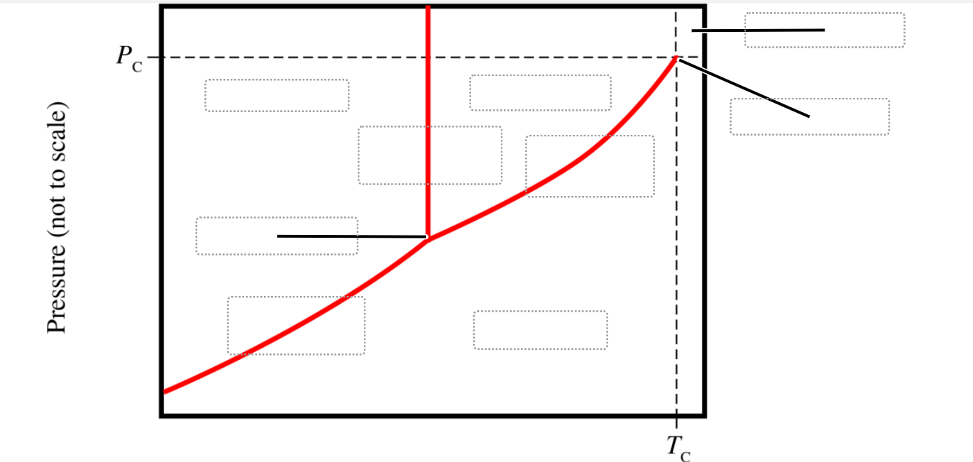 Solved Label the features of the phase diagram. Answer Bank | Chegg.com