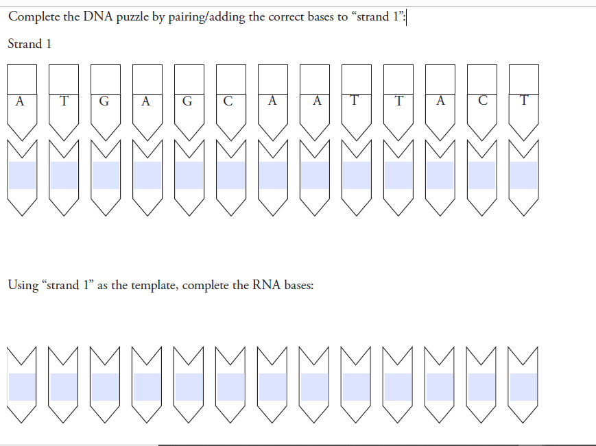 Solved Complete the DNA puzzle by pairing/adding the correct | Chegg.com