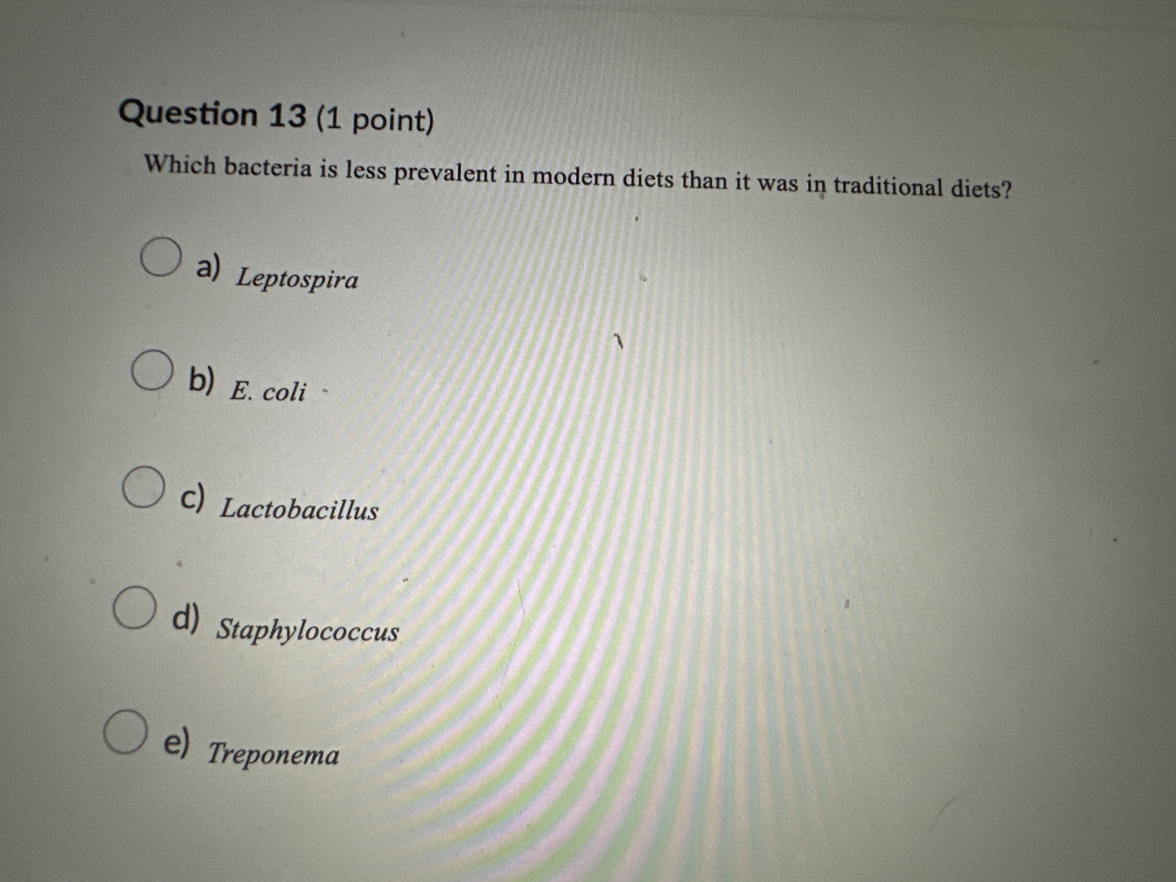 Solved Question 13 (1 ﻿point)Which bacteria is less | Chegg.com