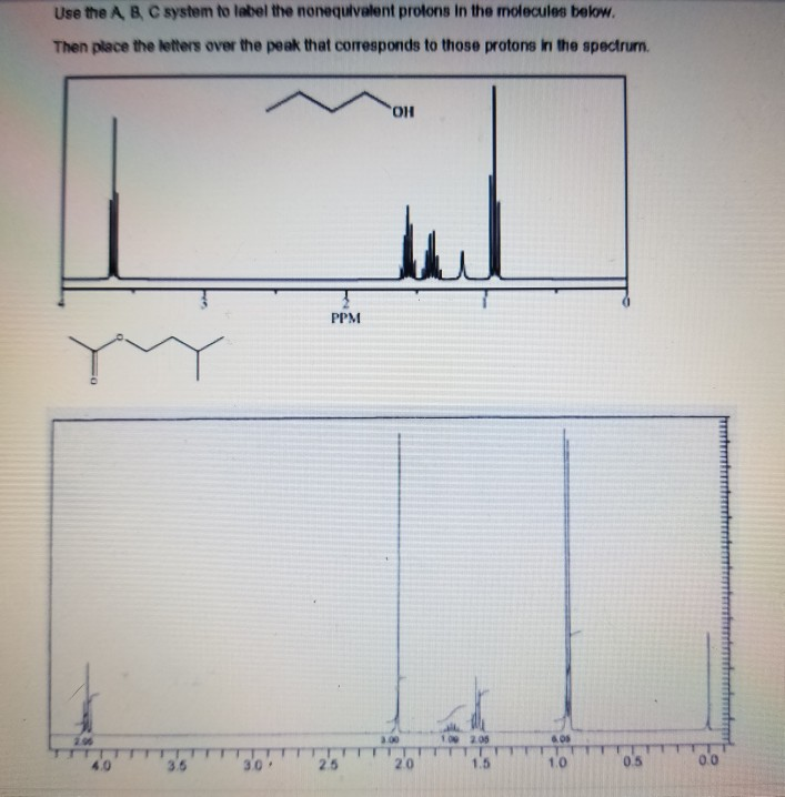 Solved Use the A B C system to label the nonequivalent | Chegg.com