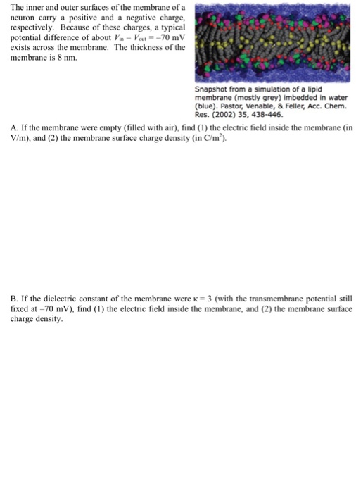 Solved The inner and outer surfaces of the membrane of a E | Chegg.com