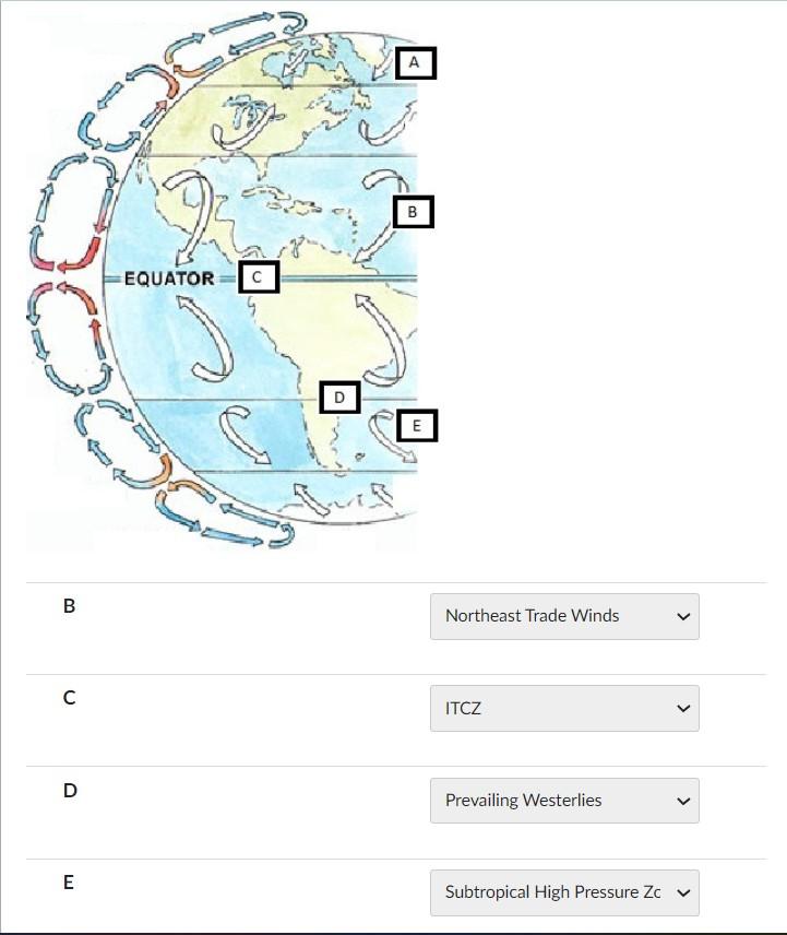 Solved B Northeast Trade Winds C ITCZ D Prevailing | Chegg.com