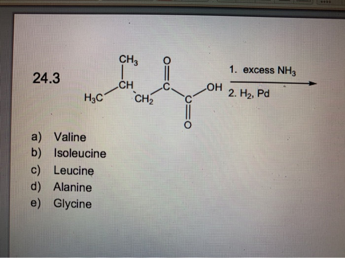 Solved CH3 1. excess NH3 24.3 CH OH 2. H2, Pd CH2 H3C a) b) | Chegg.com