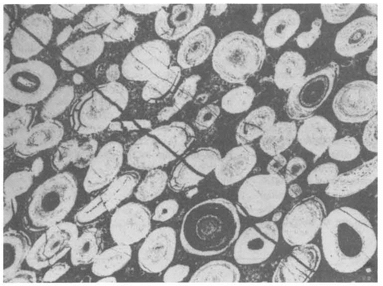 Problem 8: STRAIN ANALYSIS APPLYING THE FRY | Chegg.com