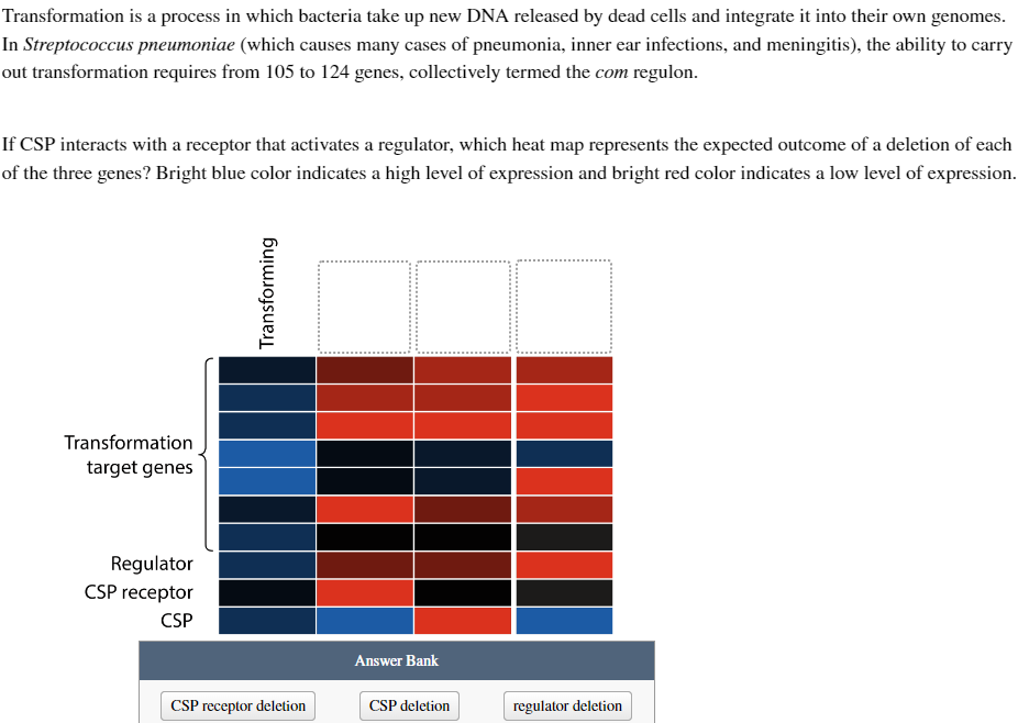 Solved Transformation is a process in which bacteria take up | Chegg.com