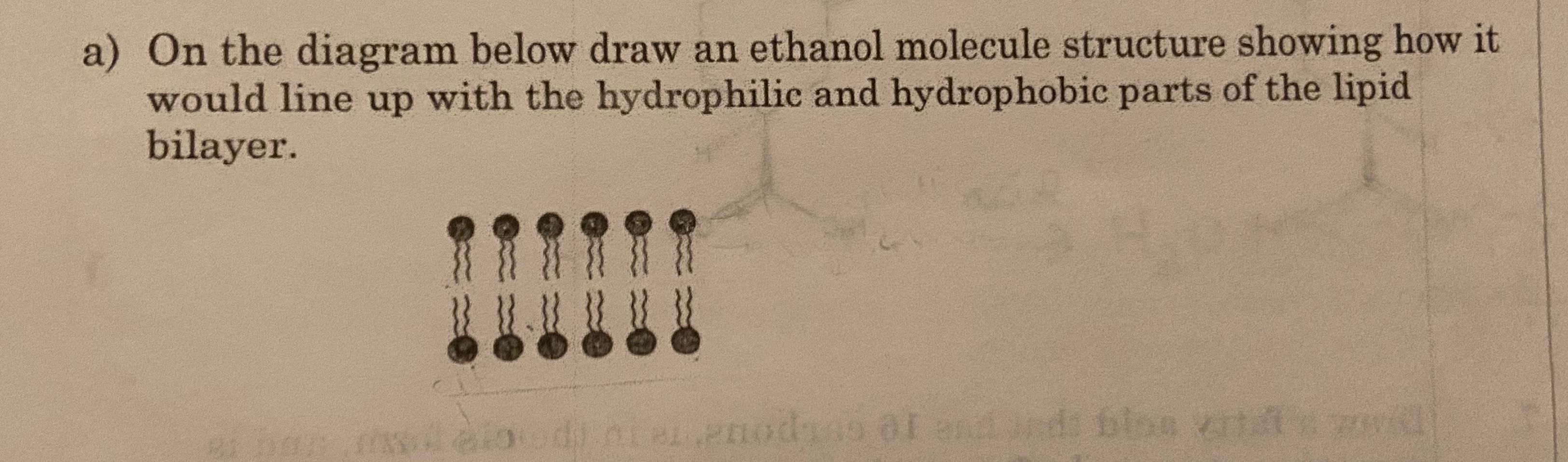 Solved a) On the diagram below draw an ethanol molecule | Chegg.com