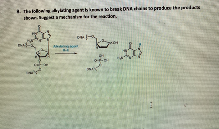 Solved 8. The following alkylating agent is known to break | Chegg.com