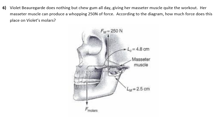 Solved 6) Violet Beauregarde does nothing but chew gum all | Chegg.com