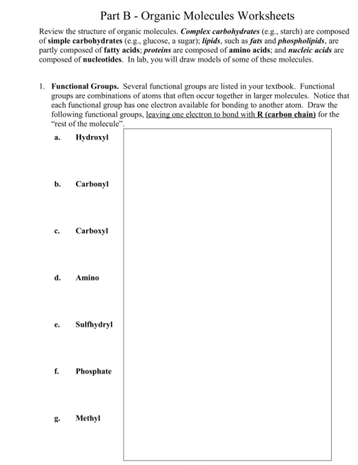 Solved Part B - Organic Molecules Worksheets Review the | Chegg.com
