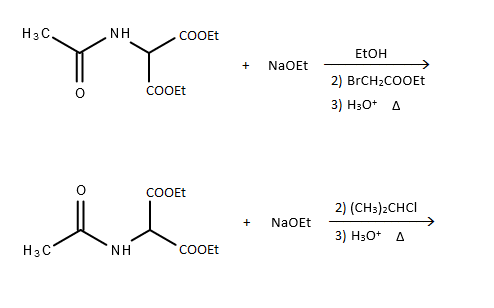Solved Show the mechanism for the following amidomalonate | Chegg.com