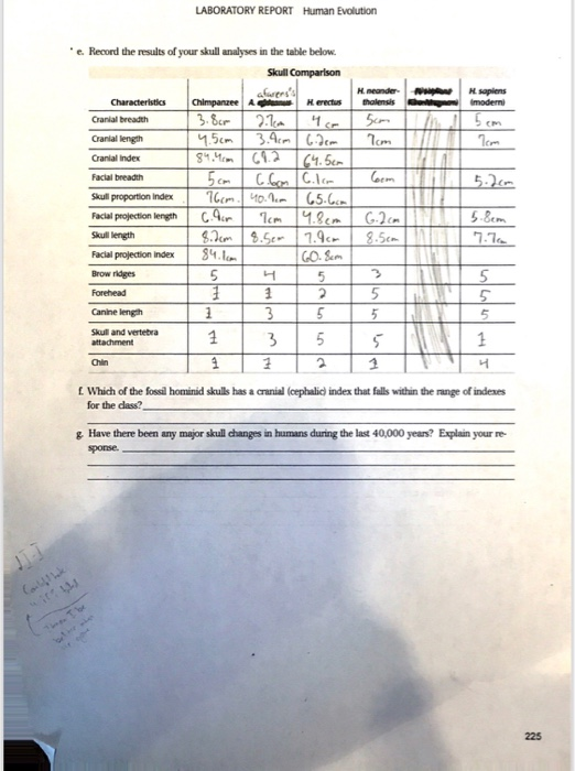 3. Skull Analysis a. Record the cephalic indexes for | Chegg.com