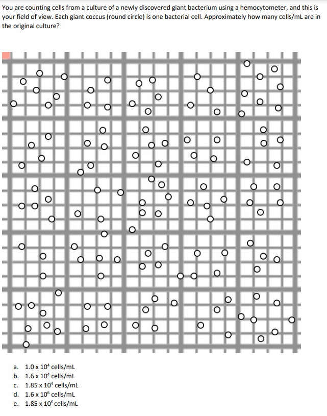 You are counting cells from a culture of a newly | Chegg.com