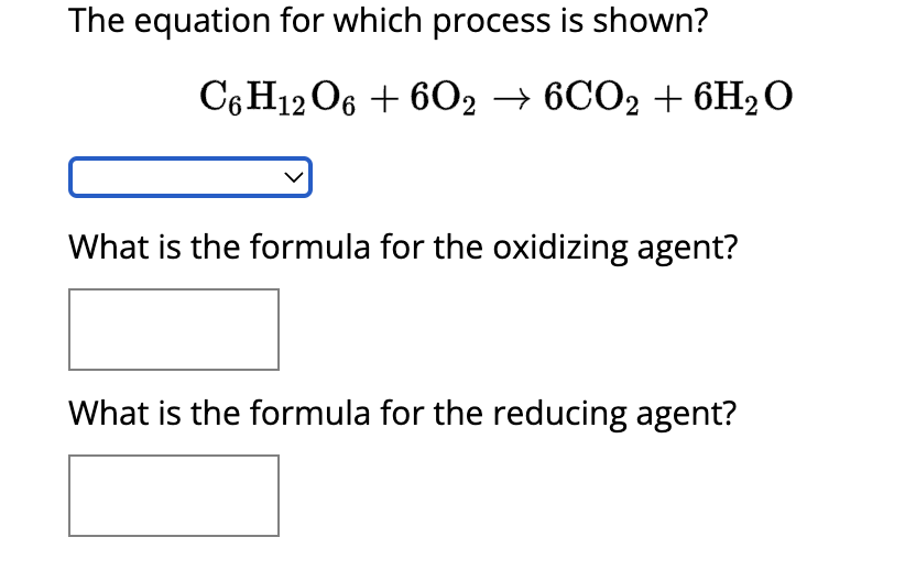 Solved The equation for which process is shown? | Chegg.com