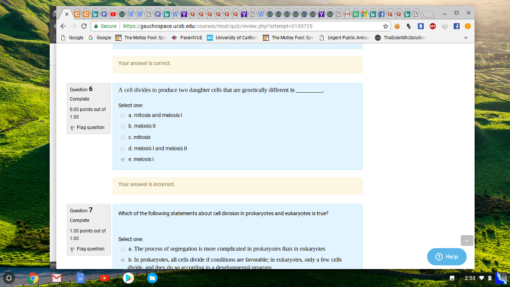 Solved C Secure https//gauchospace | Chegg.com