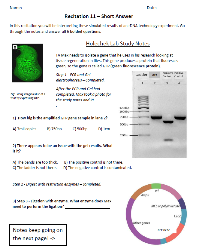 Solved In this recitation you will be interpreting these | Chegg.com