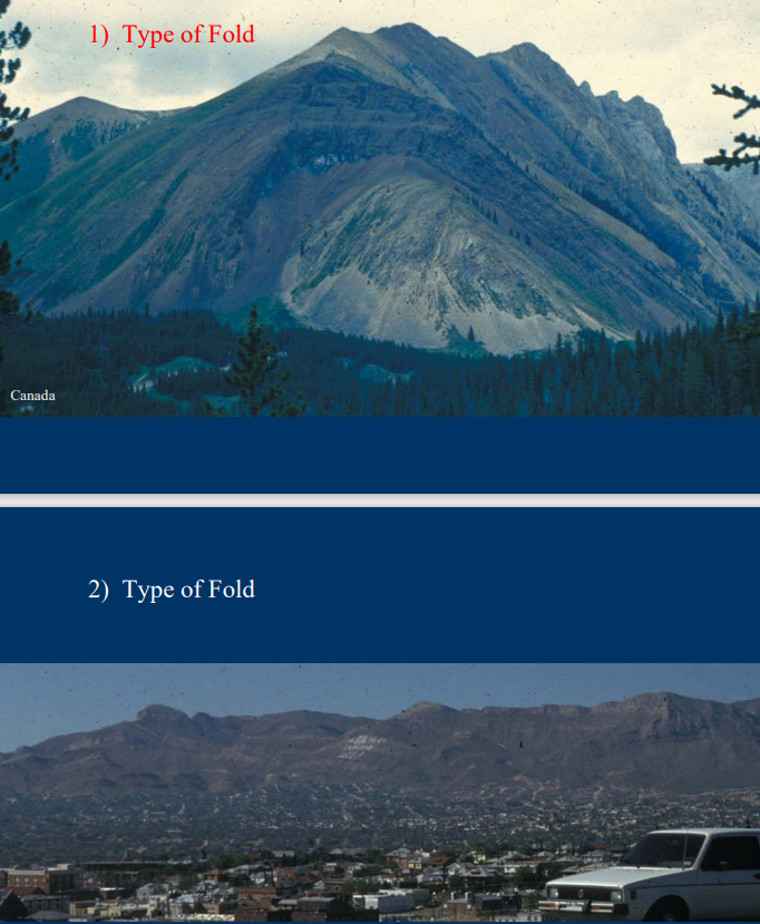 Solved 1) Type of Fold 2) Type of Fold 3) Type of Fold | Chegg.com