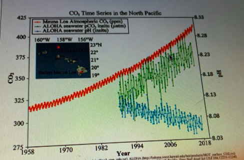 Solved The Mauna Loa Observatory has recorded measurements | Chegg.com