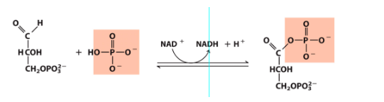 Solved The following reaction is catalyzed by a lyase | Chegg.com
