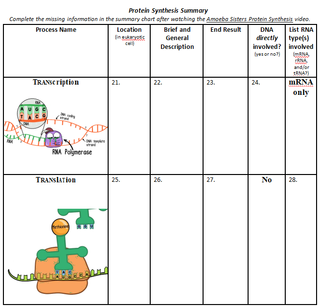 Solved Protein Synthesis Summary Complete the missing | Chegg.com