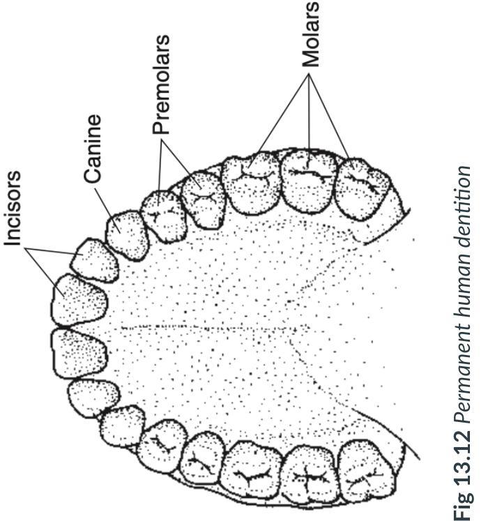 Solved I. Which of the drawings in Figure 13.14 depict the | Chegg.com