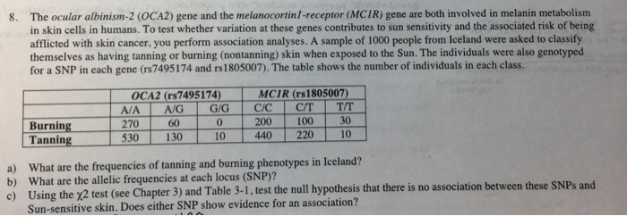 Solved 8· The ocular albnusm-2 OCA2) gene and the | Chegg.com