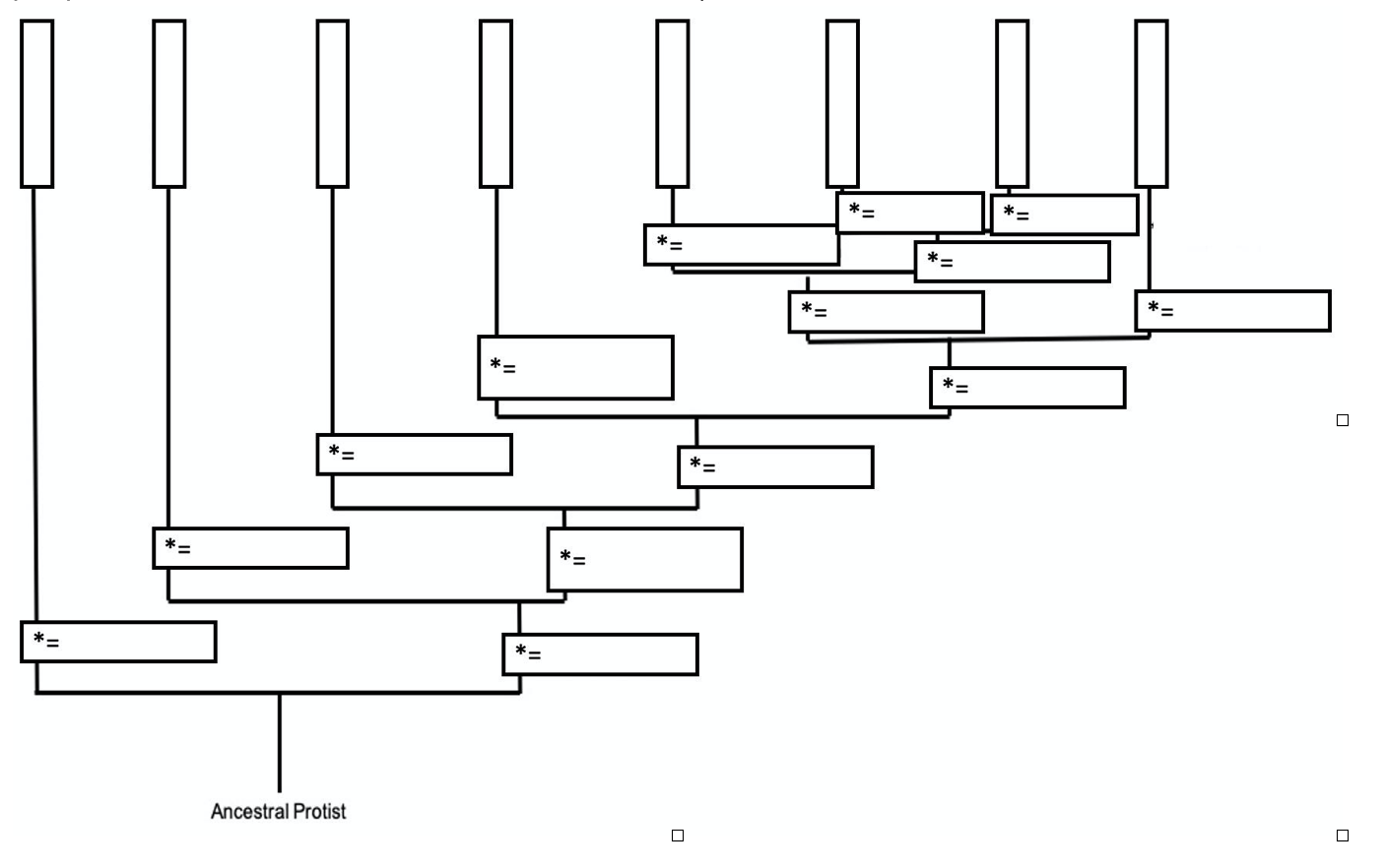 Solved Part 1: Cladogram Activity In the document called | Chegg.com