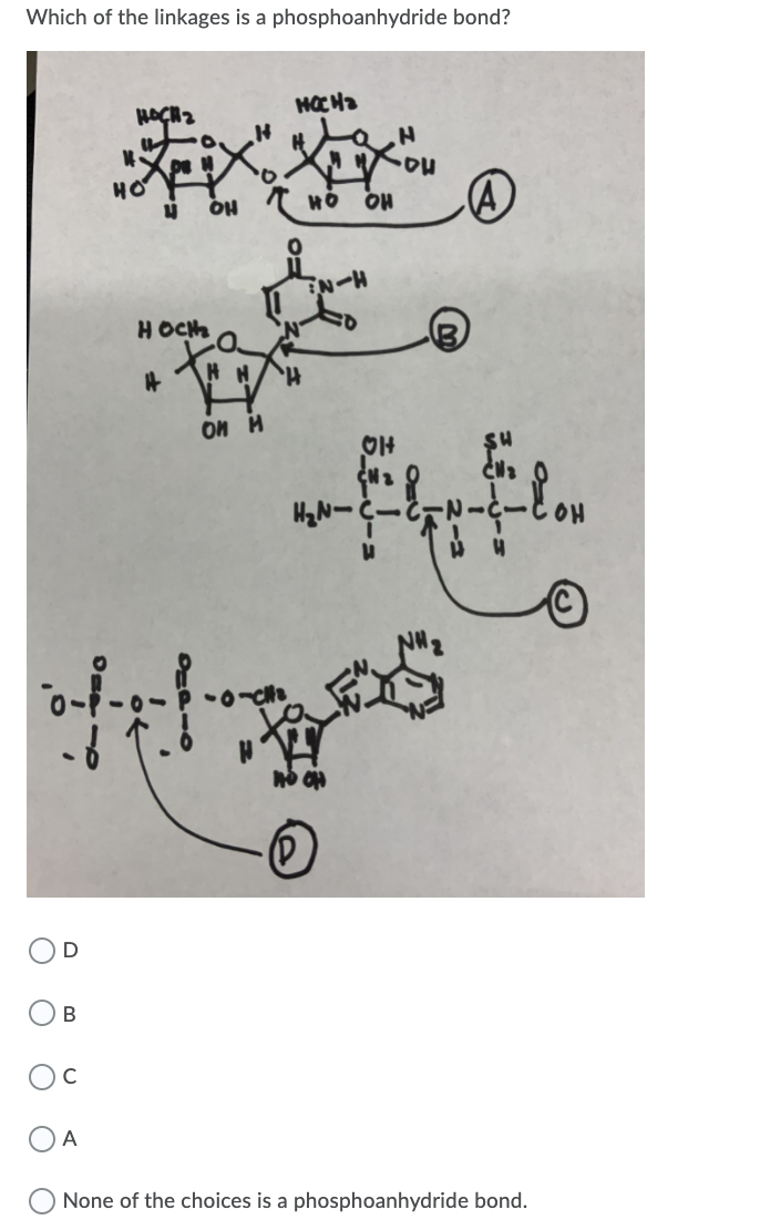 Solved Which of the linkages is a phosphoanhydride bond? | Chegg.com