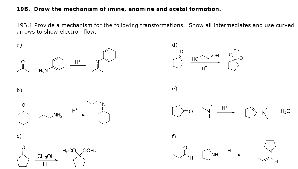Solved 19B. Draw the mechanism of imine, enamine and acetal | Chegg.com