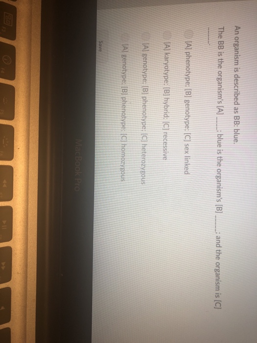 Solved An organism is described as BB: blue. The BB is the | Chegg.com