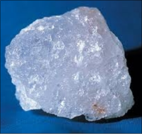 Solved The sedimentary rock shown below is a sample of rock | Chegg.com