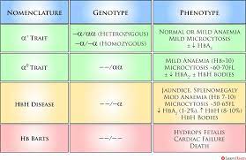 Solved Hemoglobin H is made of four beta chains Hb-Barts is | Chegg.com