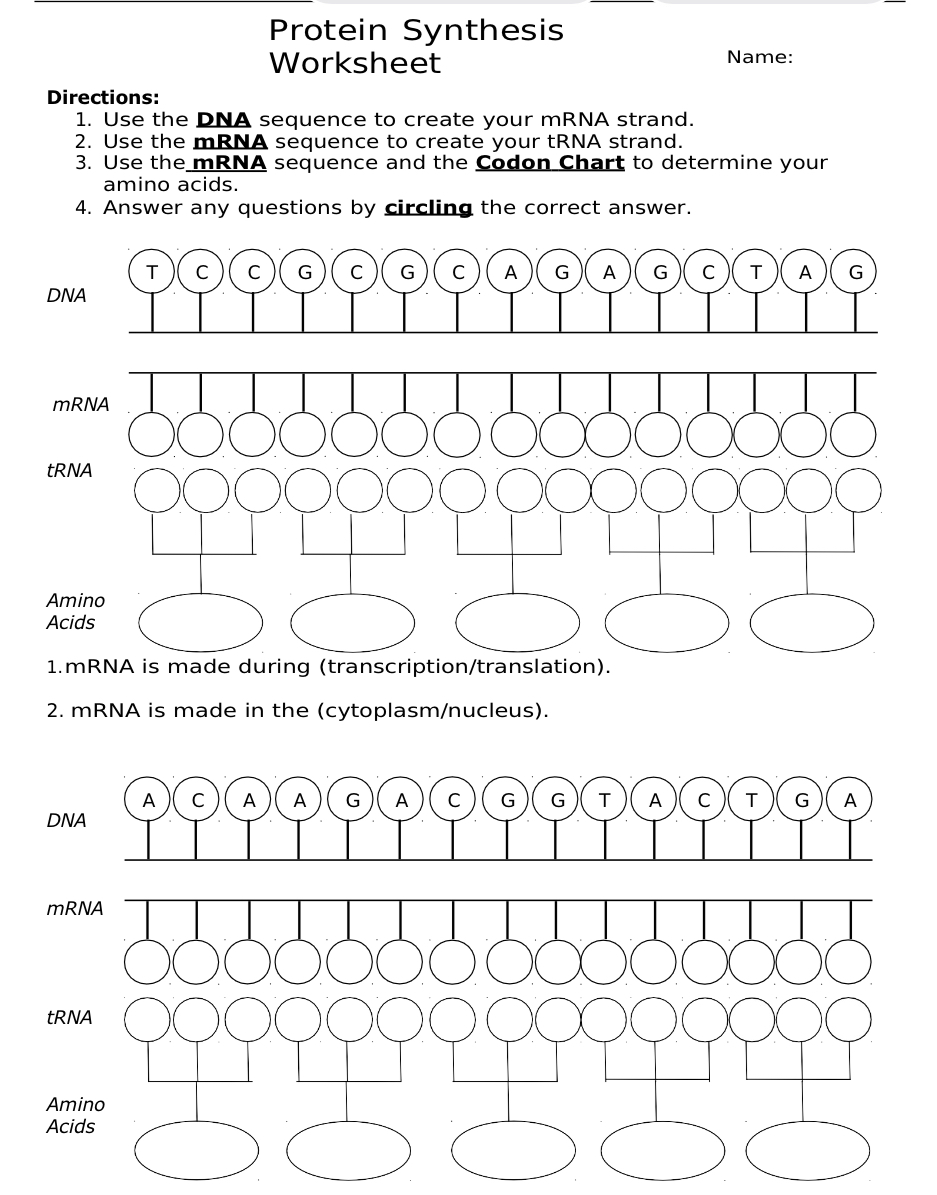Solved Protein SynthesisWorksheetName:Directions:Use the DNA | Chegg.com