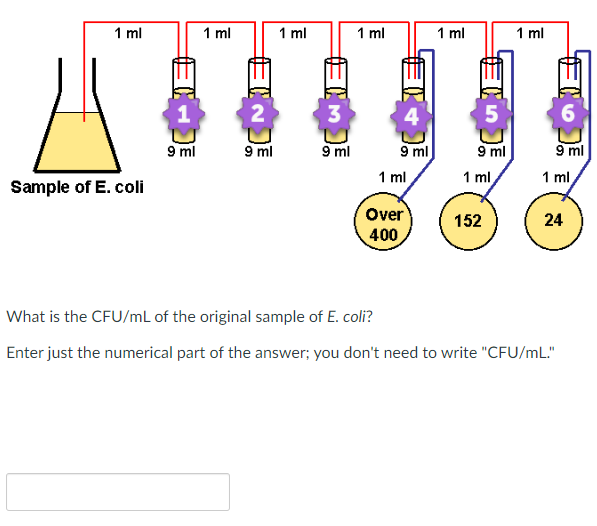 Solved Remember to write your answers using the ∧ key. | Chegg.com