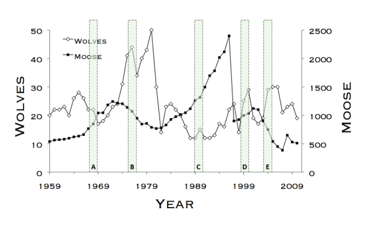 Solved In the southern part of their range, moose | Chegg.com