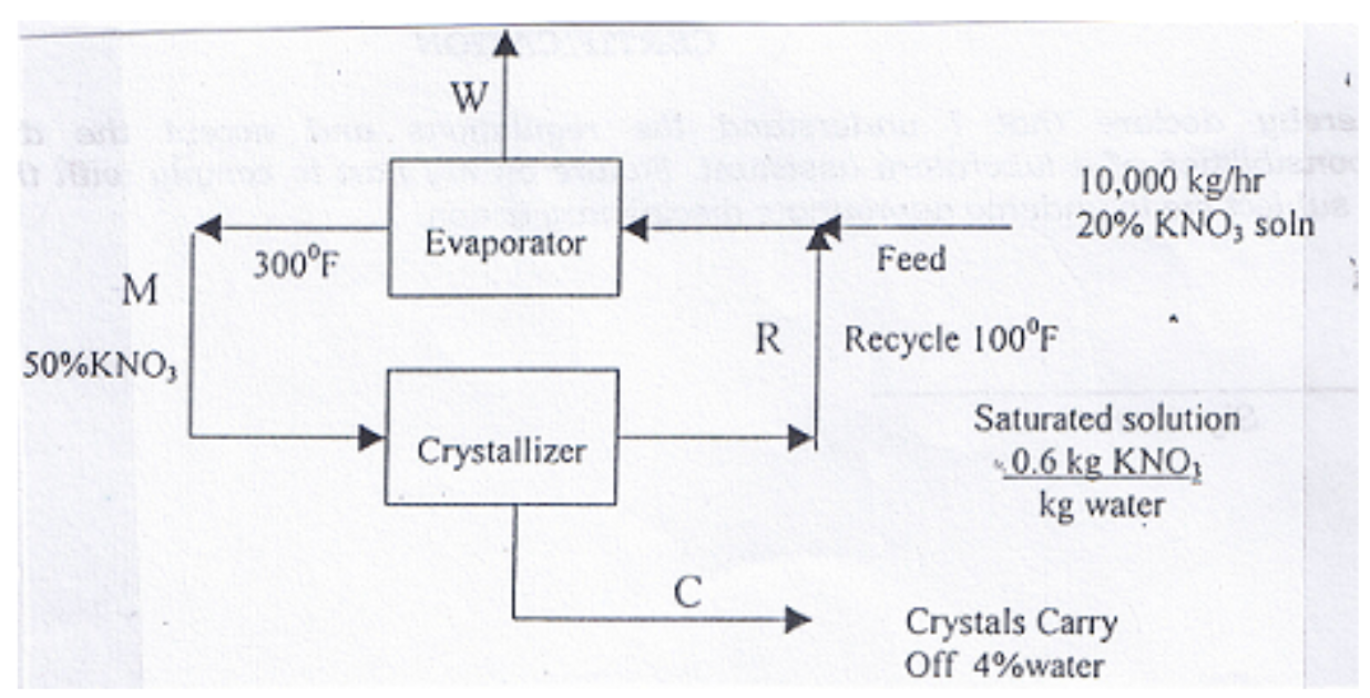 Solved Examine the figure below. What is the quantity of the | Chegg.com