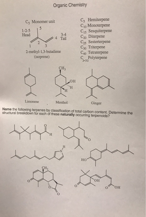 Solved Organic Chemistry C5 Hemiterpene C10 Monoterpene Cs | Chegg.com