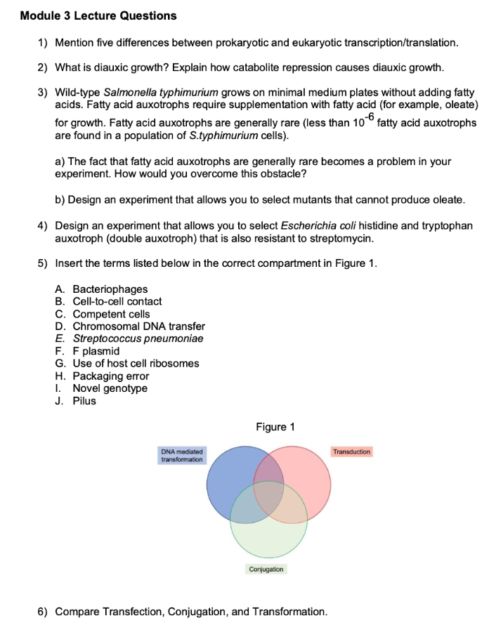 Solved Module 3 Lecture Questions 1) Mention five | Chegg.com