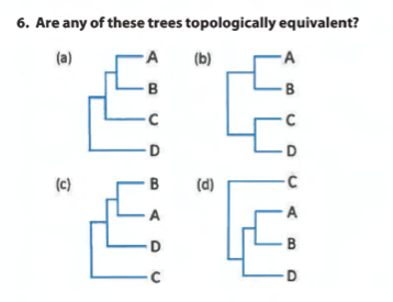 Solved 6. Are any of these trees topologically equivalent? | Chegg.com