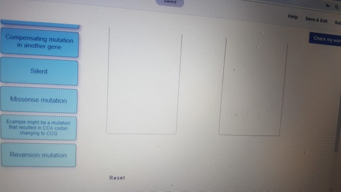 Solved Check my Second mutation occurs in the same gene | Chegg.com