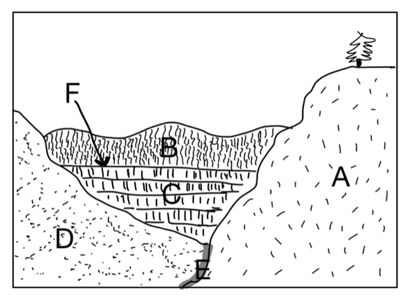 Solved Ai, TID IT Yll IT I ( 1111111 Illino VUI D 1 What | Chegg.com