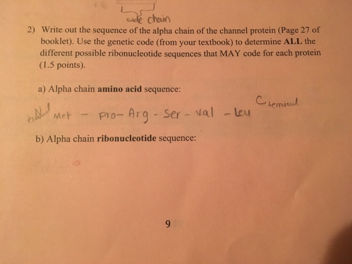 Solved Write out the sequence of the alpha chain of the | Chegg.com