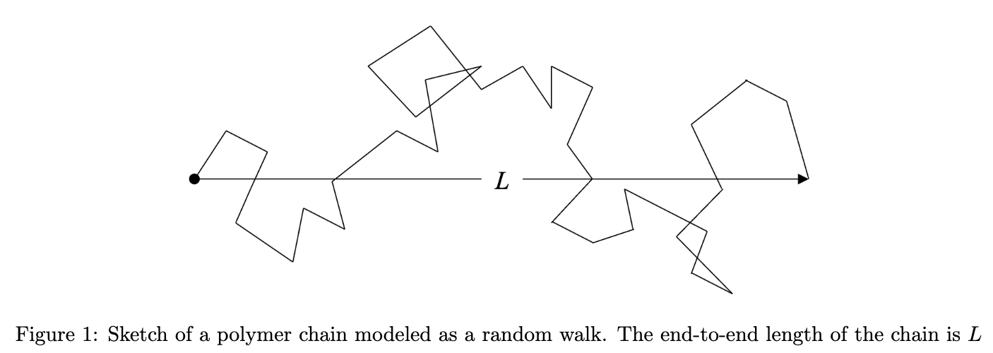 Solved 1D Random WalkA polymer chain can be modeled as a | Chegg.com