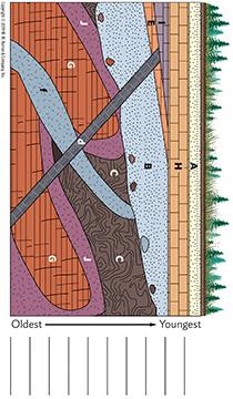 Solved How large a gap in the geologic record is represented | Chegg.com