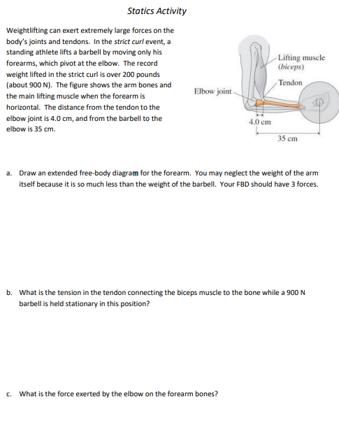 Solved Statics Activity Weightlifting can exert extremely | Chegg.com