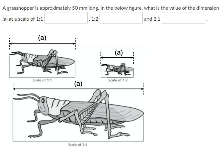 Solved A grasshopper is approximately 50 mm long. In the | Chegg.com