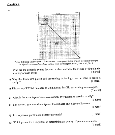 Solved Figure 1: Figure adapted from "Chromosomal | Chegg.com